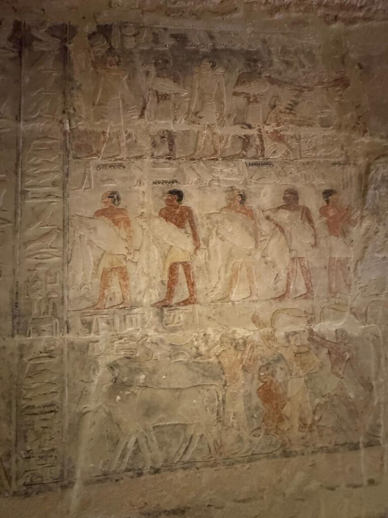 Best Nile River Cruise Egypt Ultimate 8 Day Egypt Tour